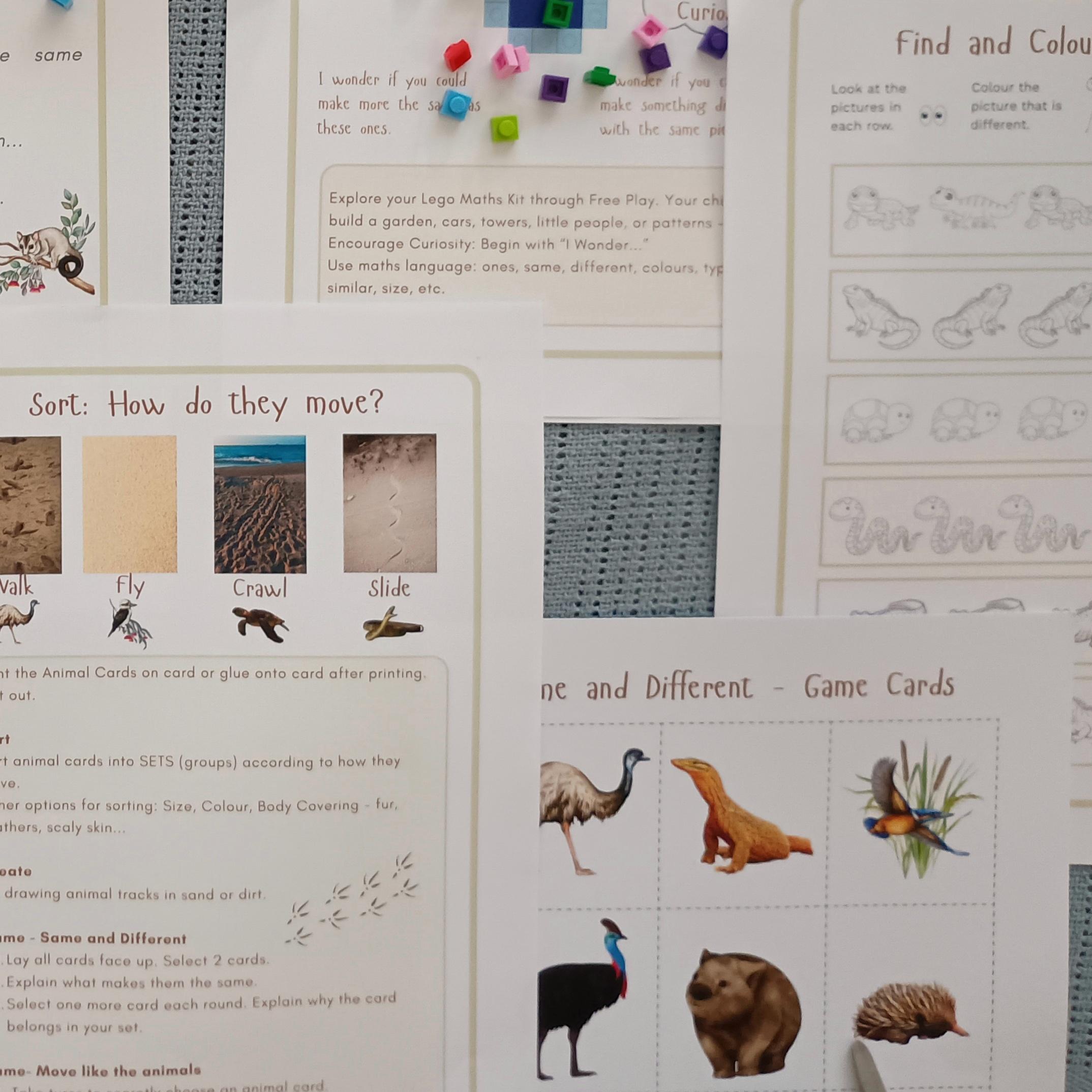 Simply Homeschool | Kindy Maths Workbook Set 1 – Ants PDF